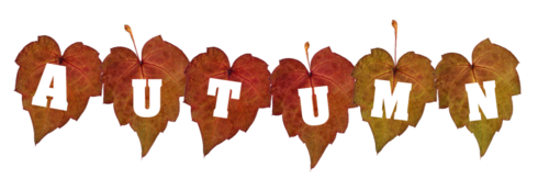 tube automne ecriture - Page 3